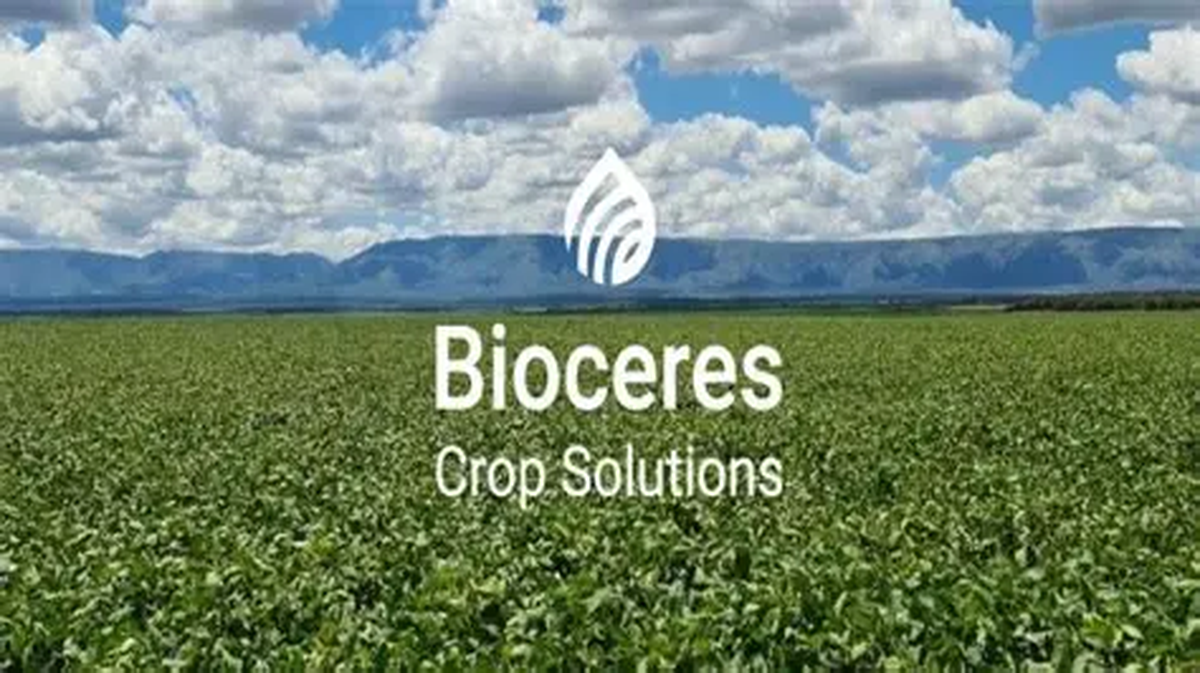 Defaulteó Bioceres: la firma rosarina no abonó pagarés bursátiles por ...