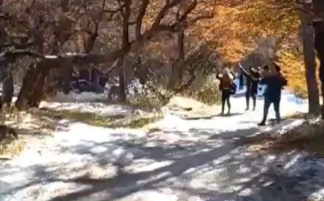 El Chaltén: Un puma acechó a una familia cordobesa y el video se volvió ...