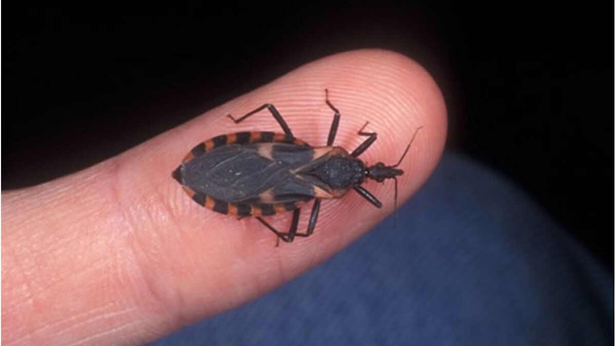 Chagas: La enfermedad desatendida que se combate con ciencia