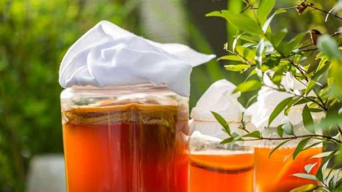 El regreso de los fermentados: Alimentos y bebidas que pueden cambiar ...