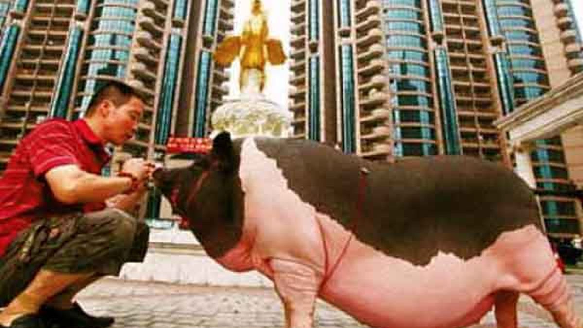 Celdo pala todos (o cómo fomentar la producción)