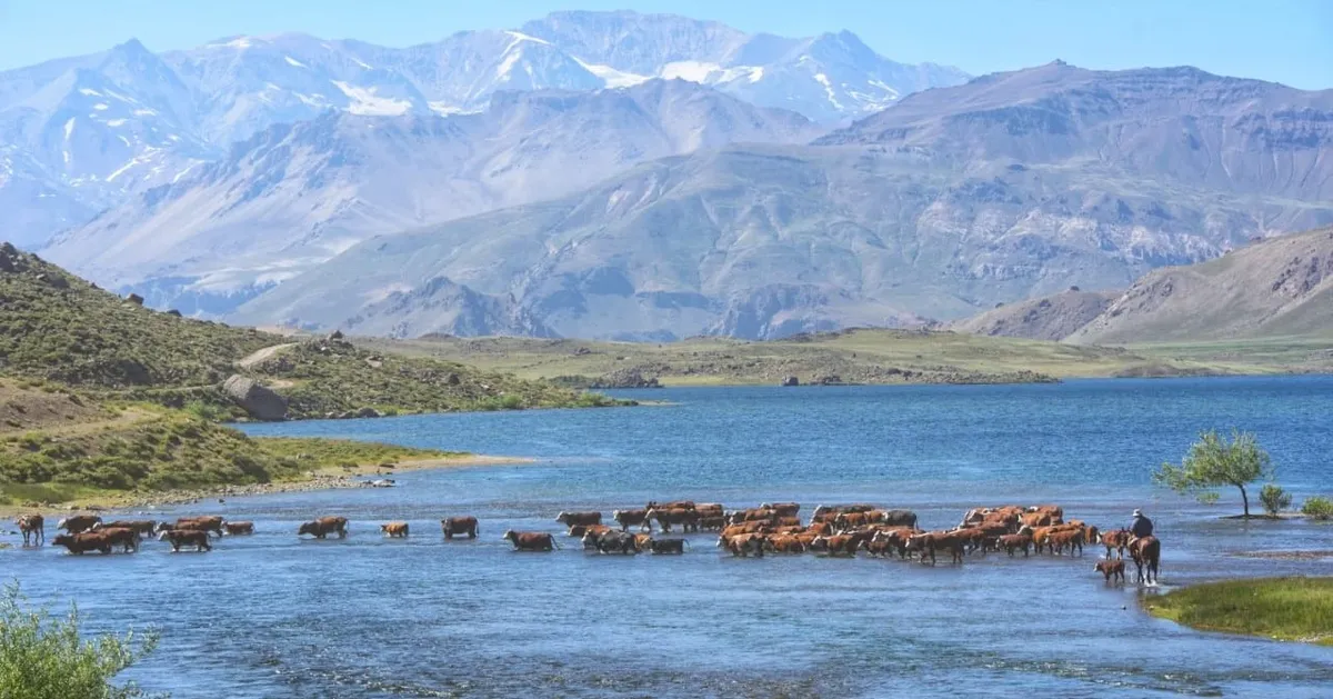 Finde XXL: Un plan diferente para hacer en la Patagonia Finde XXL: Un plan diferente para hacer en la Patagonia