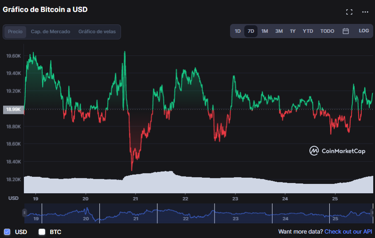 Criptomonedas: ¿Cuáles son los riesgos de invertir en ellas?