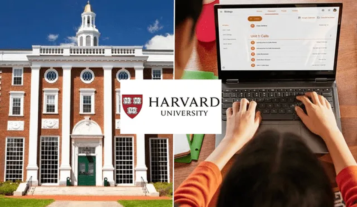 ¿Compite con Google? Los 150 cursos gratis que lanzó Harvard