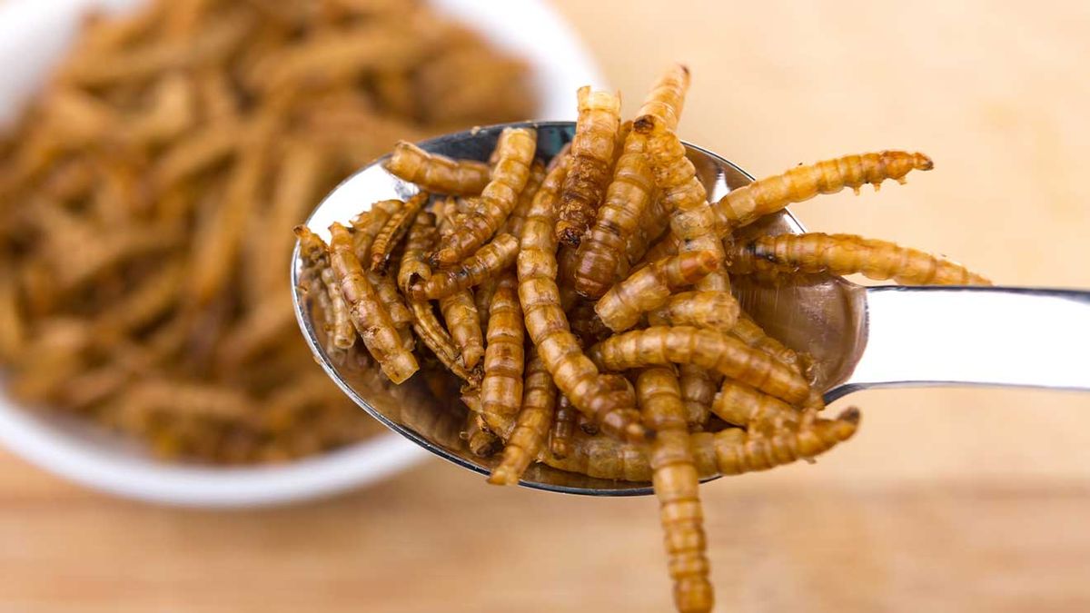 Ni asado, ni polenta: Insectos en tiempos de inflación