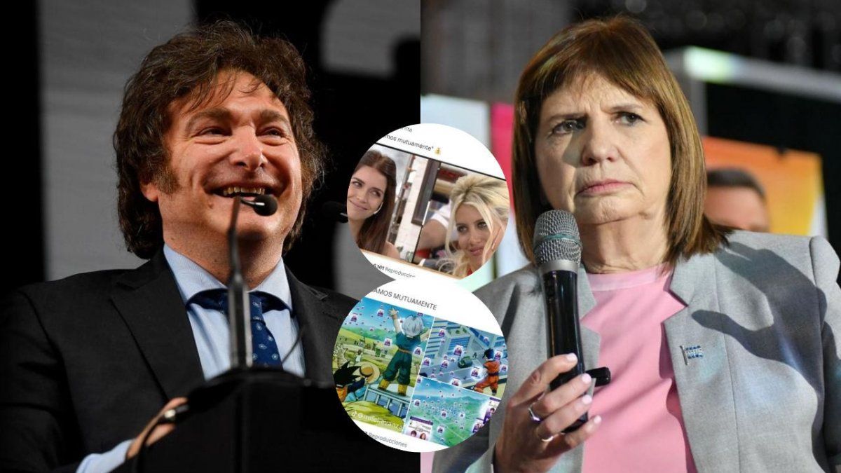 Boom de memes tras perdón mutuo entre Milei y Bullrich