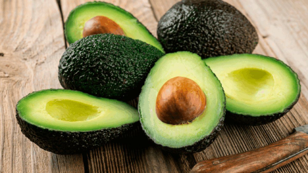 Aprende a conservar palta congelada sin perder el toque natural