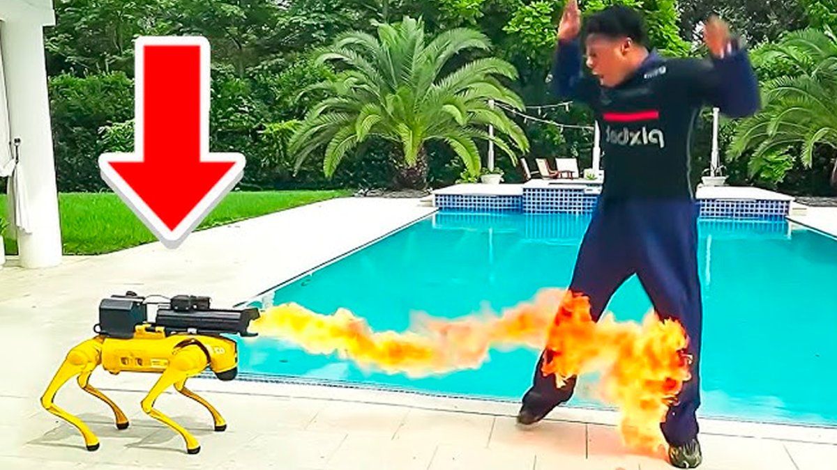 Viral: Famoso streamer fue atacado por un perro robot de US$100 mil