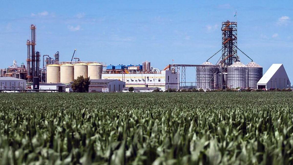 Bioetanol: Nuevos precios y nueva fórmula de cálculo del valor