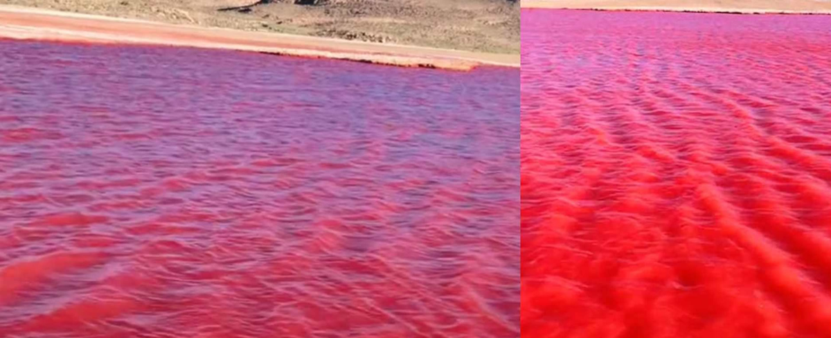 El río Nilo se tiñó de rojo por esta extraña razón
