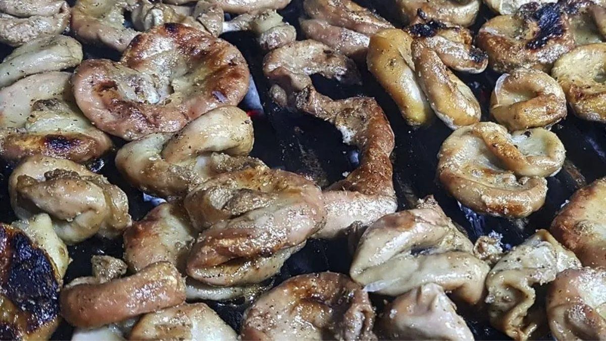 Qué es la shigella: La criminal bacteria de la carne podrida