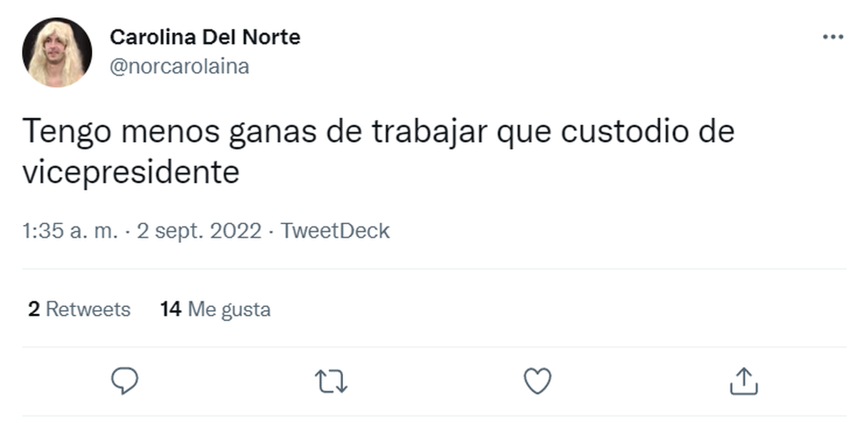 Video: Custodio de CFK que se agachó y se convirtió en meme