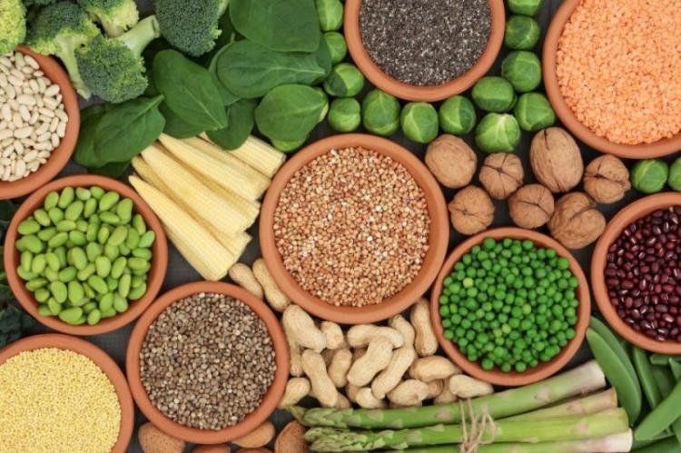 Este es el nutriente que se debe comer todos los días para perder peso