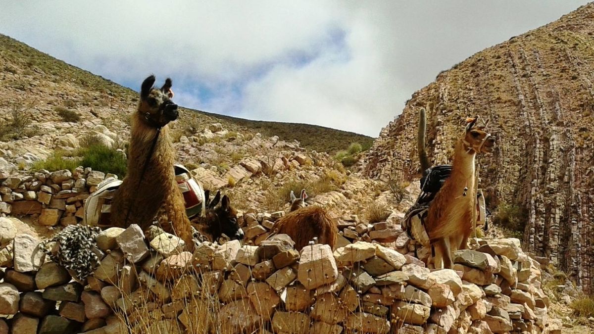 Día Mundial del Turismo: Argentina entre los destinos más elegidos de ...