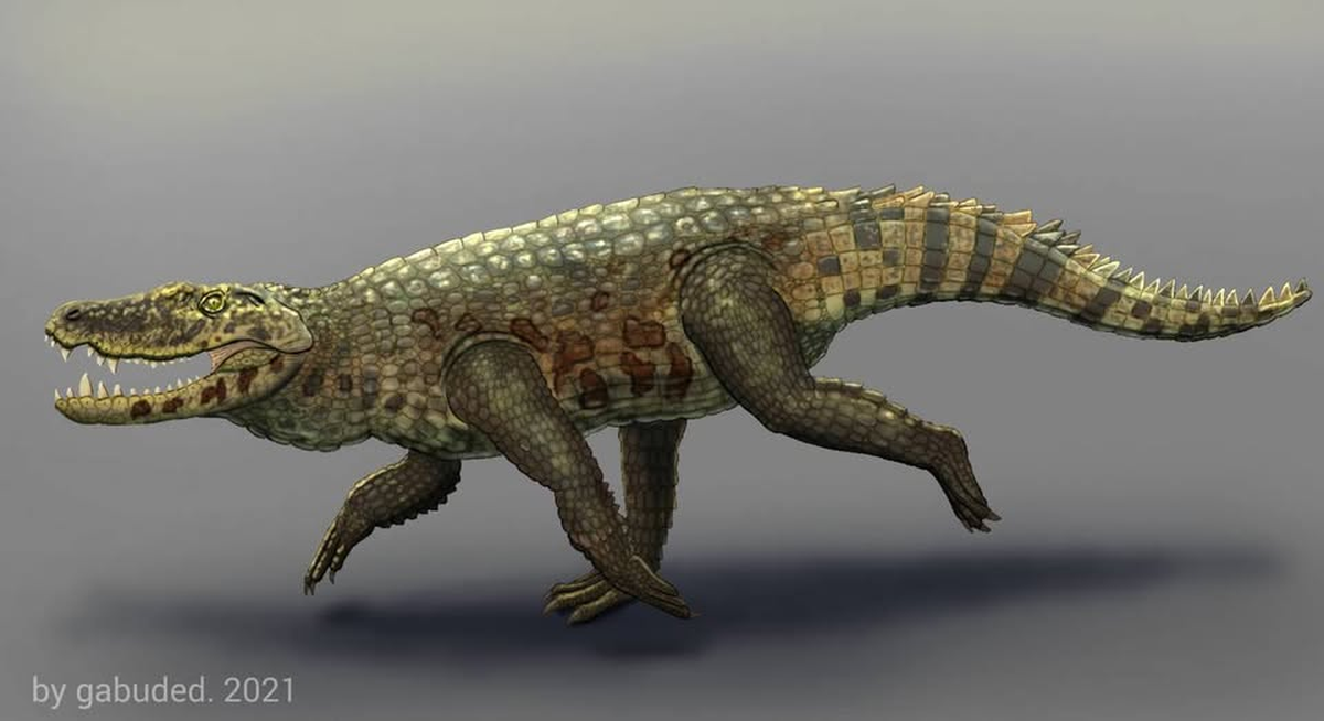 Un cocodrilo prehistórico de 6 metros sacude las teorías sobre los ...