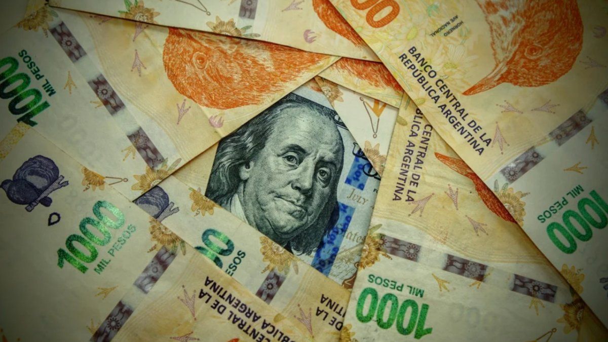 Tras la salida del cepo los primeros movimientos generan confusión