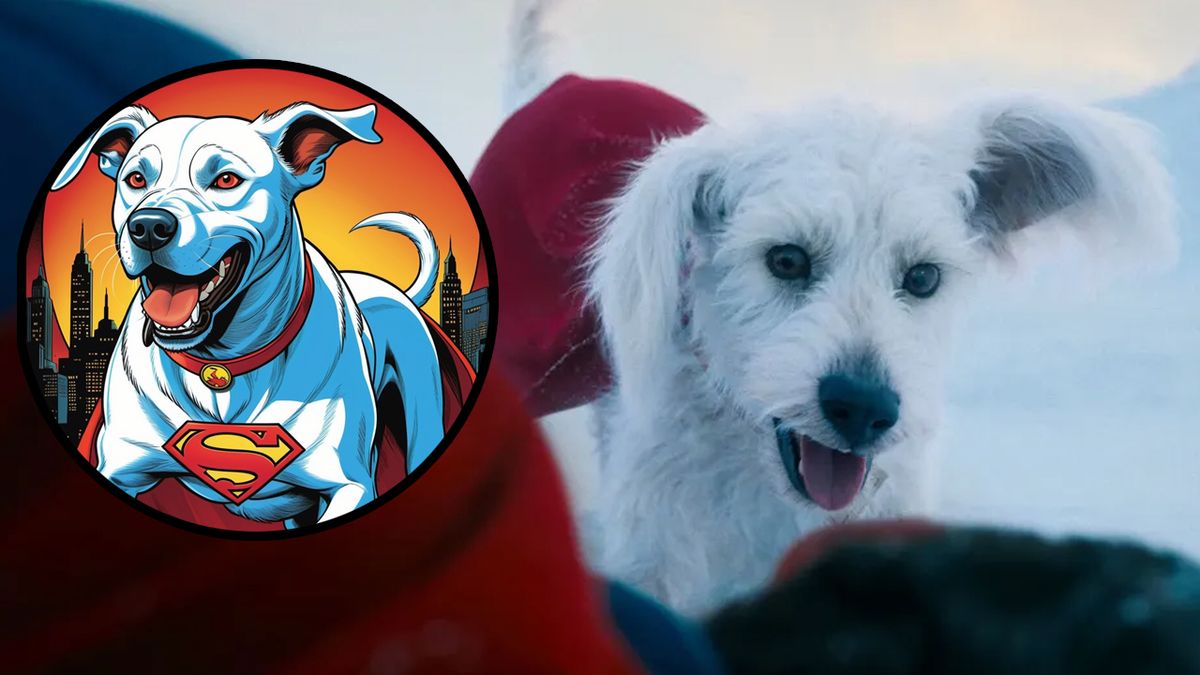 Superman: Quién es Krypto, el perro que se robó todas las miradas en el ...