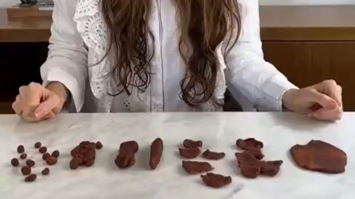 Una nutricionista mostró cómo debe ser la caca correcta y el video se ...