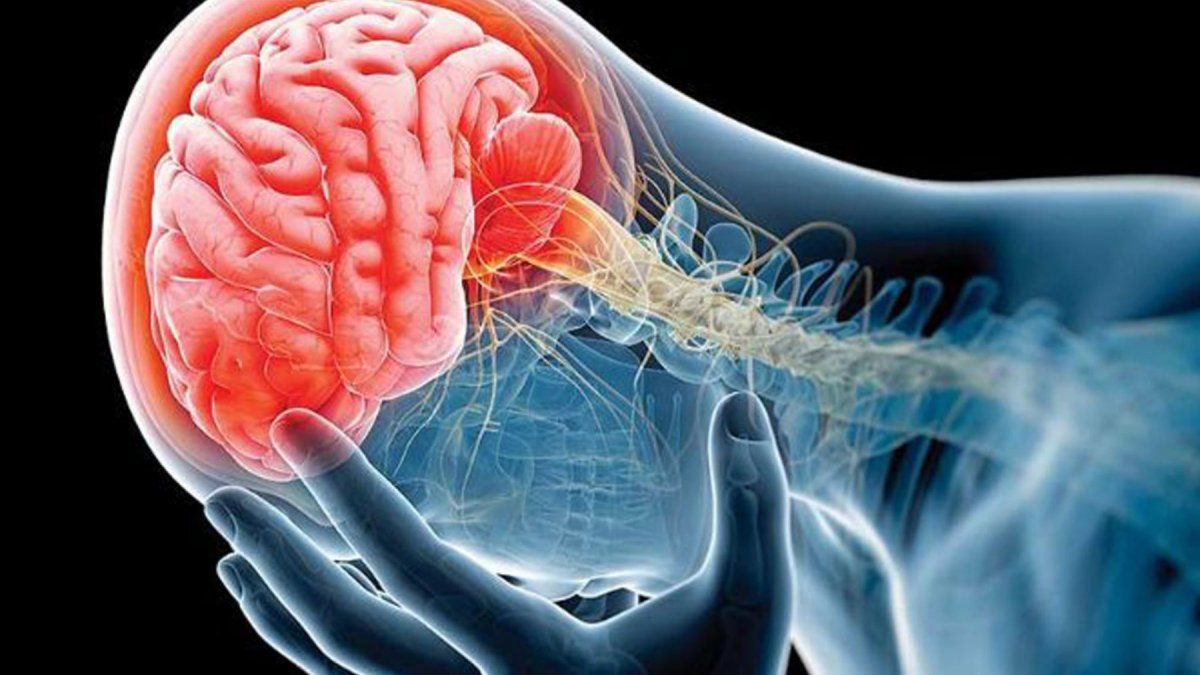 ACV: Los cuatro alimentos que un médico recomienda evitar