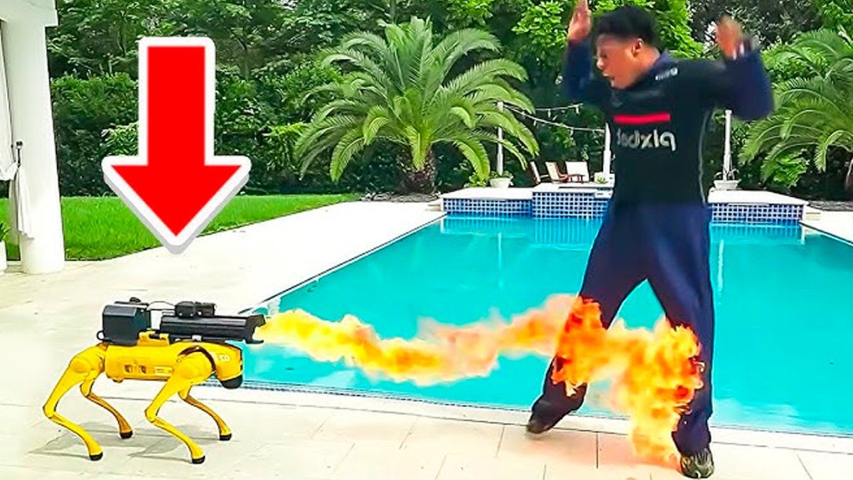Viral: Famoso streamer fue atacado por un perro robot de US$100 mil