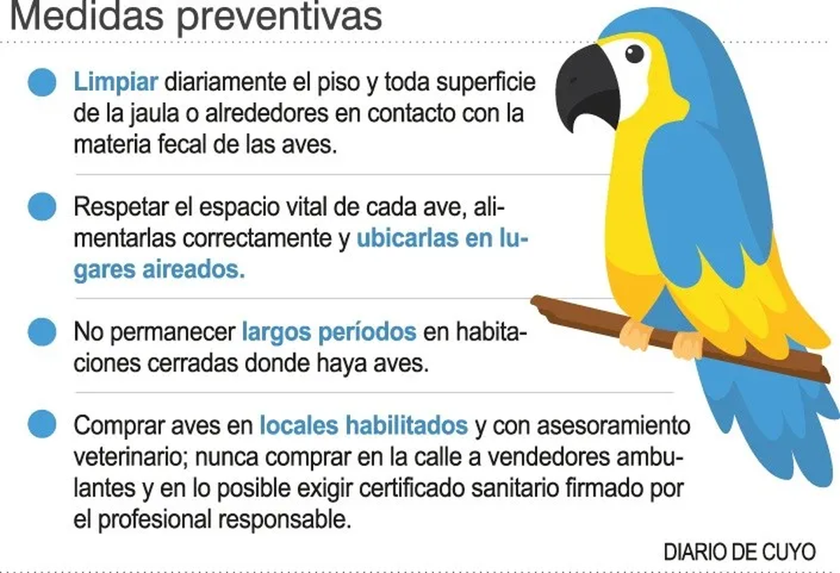 Psitacosis: Qué hacer sin caer en la aversión a las aves