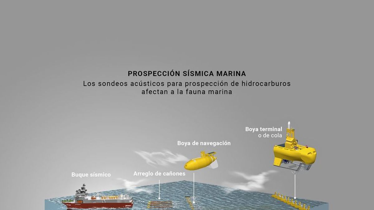 Uruguay debate prospección sísmica subacuática en su ZEE