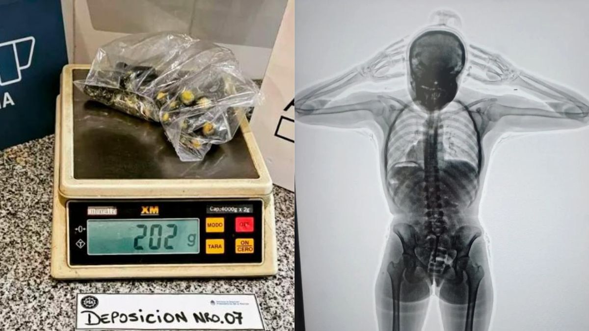 Estudiante de Economía preparó a la mula narco detenida