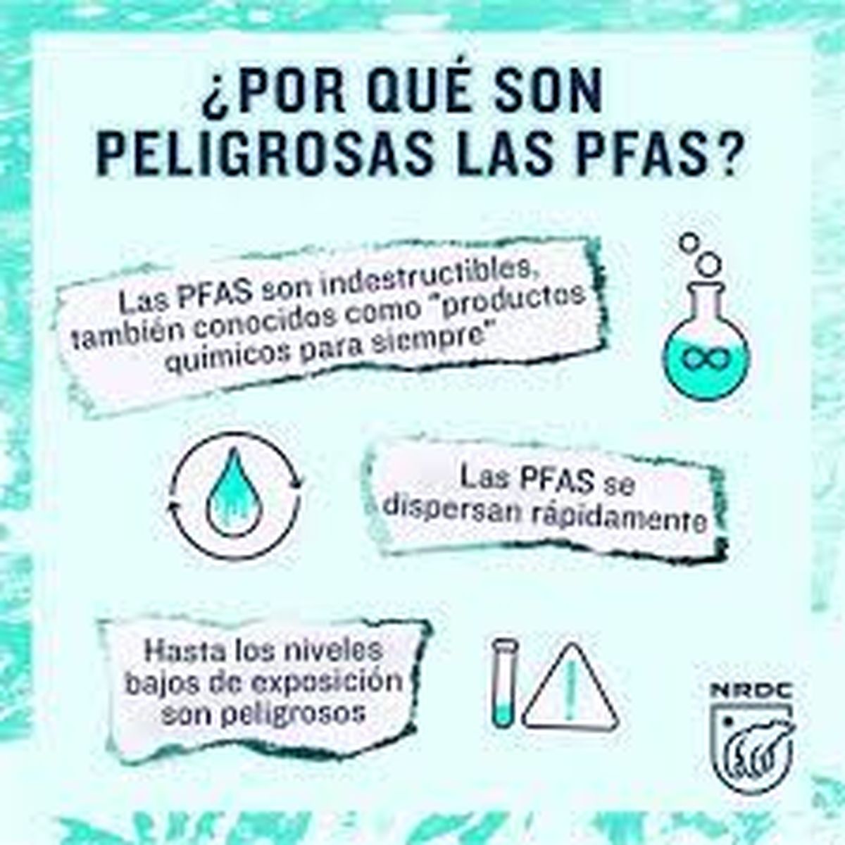 PFAS o químicos eternos y su relación con el autismo