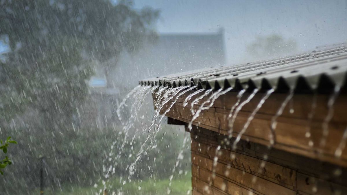 Clima lluvioso y primavera en shock: Cómo estará la semana