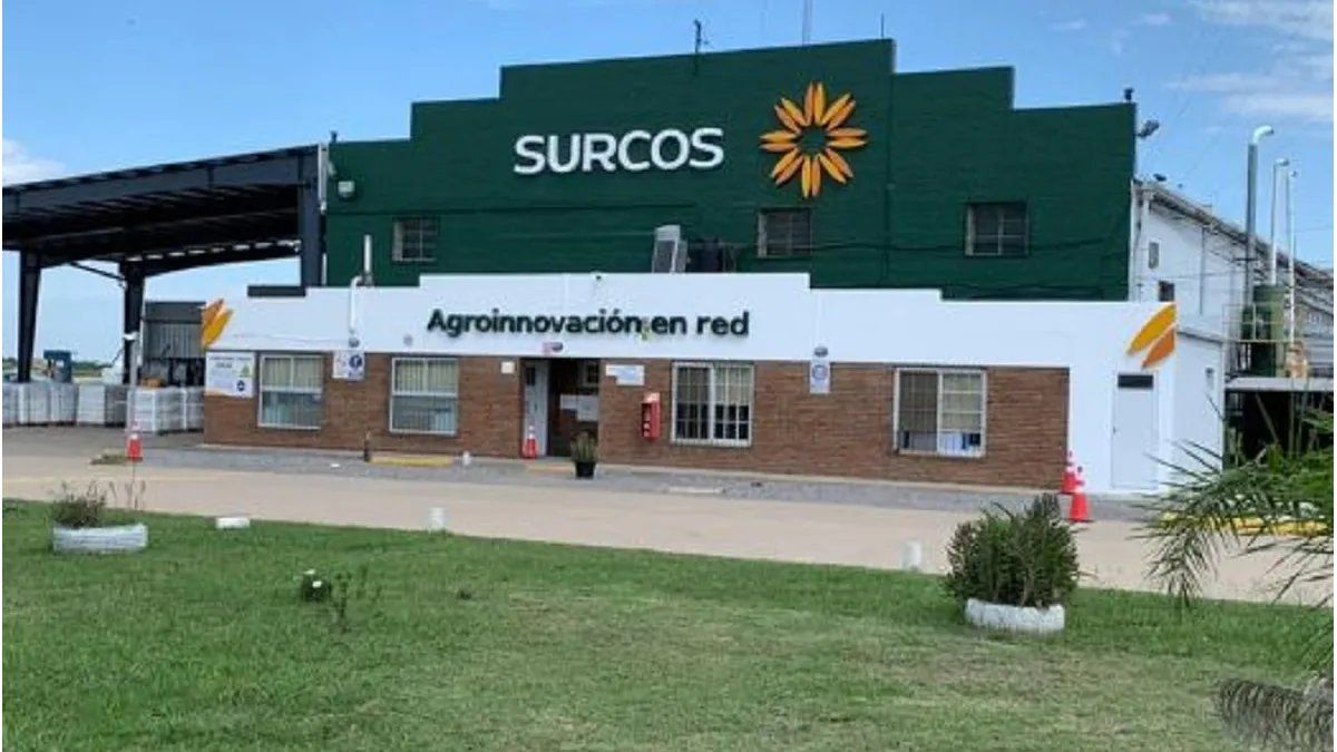 Surcos no remonta: Embargos, despidos y un nuevo capítulo de default