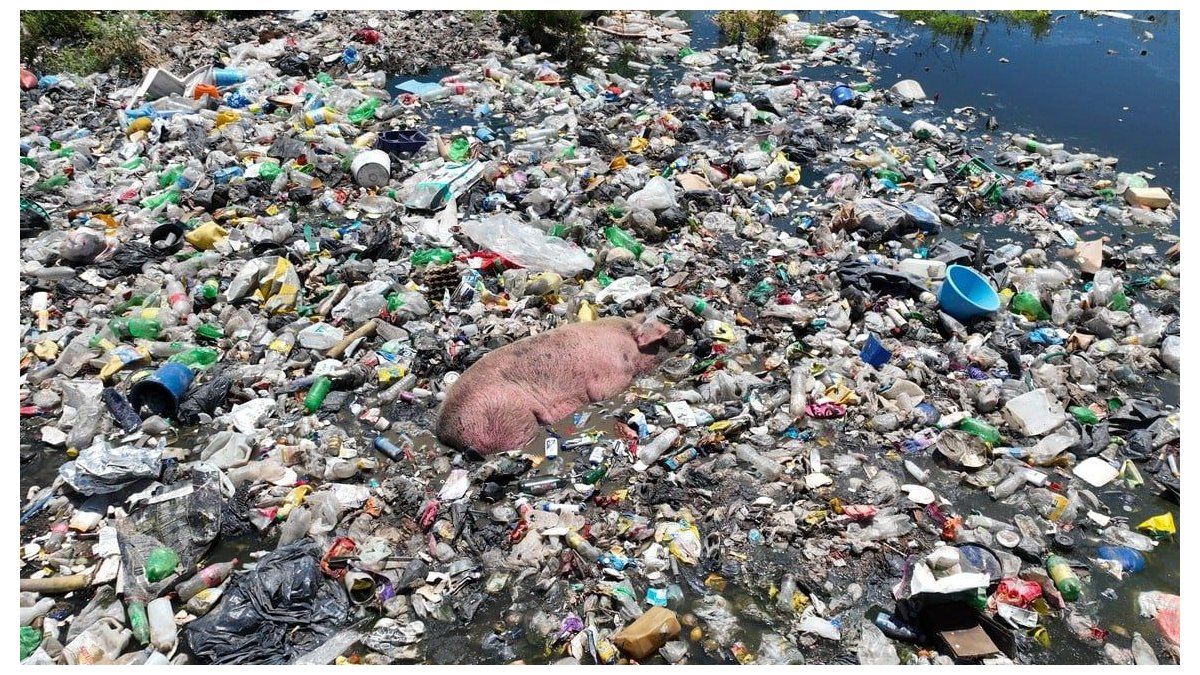 Para no ser un basurero, Santa Fe vuelve a separar la basura en febrero