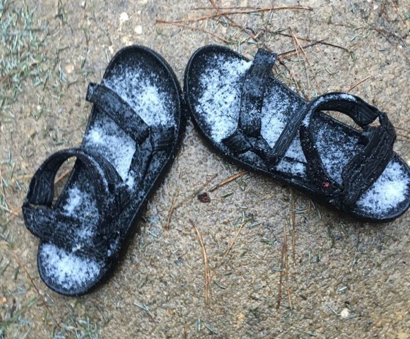 ¿Nieve en Miami? Después de 28 años Florida se cubre de hielo