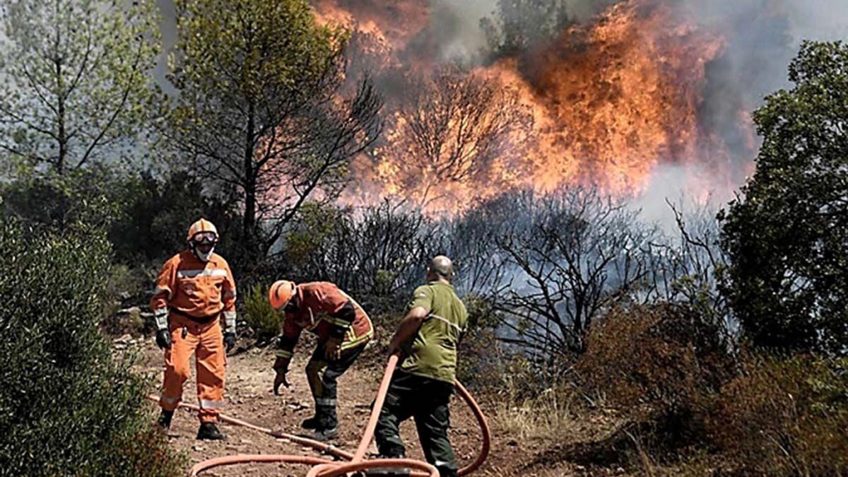 Fuego en Córdoba: Increíble cantidad de hectáreas quemadas en Yacanto