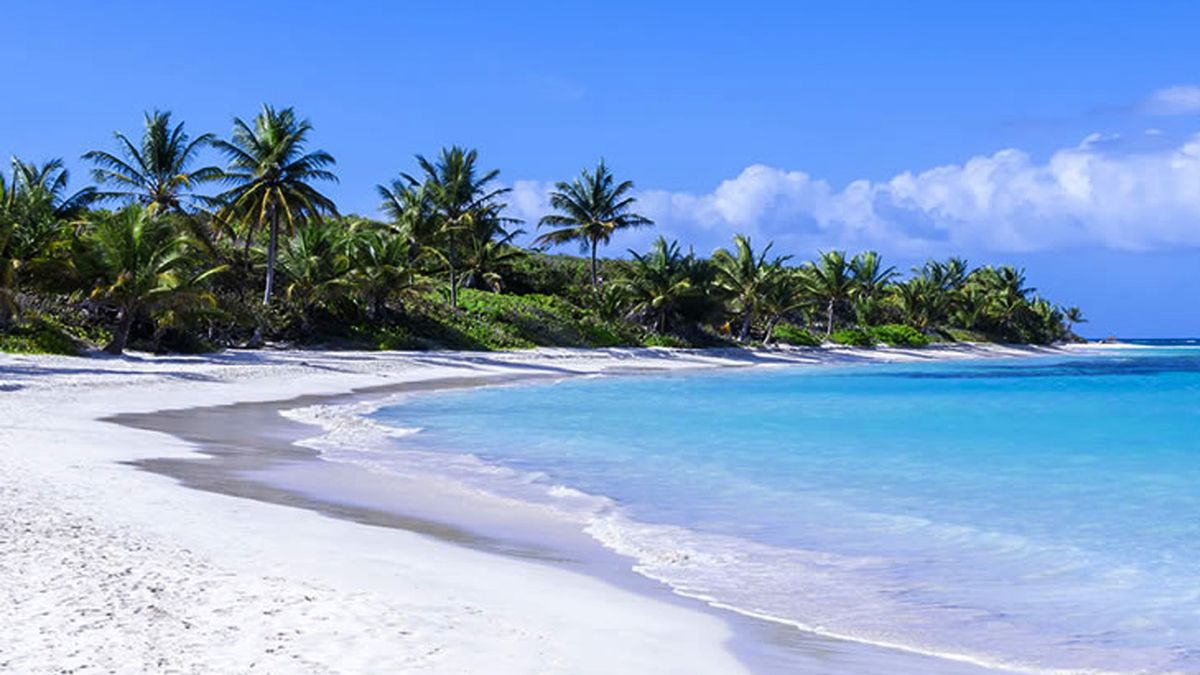 Lo que ha llegado a las playas venezolanas y causa alarma
