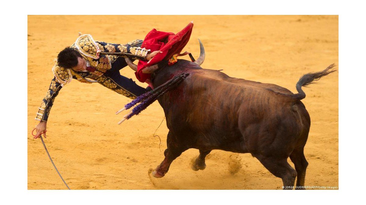 Corridas de toros: muere un carnicero en Murcia
