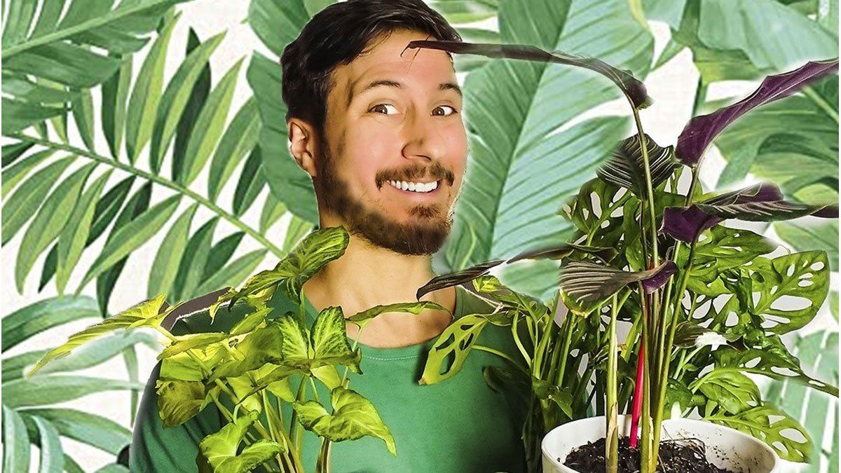 Felipe Castro: Tenemos que amigarnos con la naturaleza