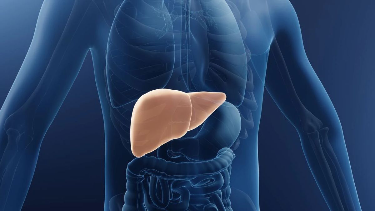 ¿Qué comer para el hígado? 5 alimentos que necesitas ahora