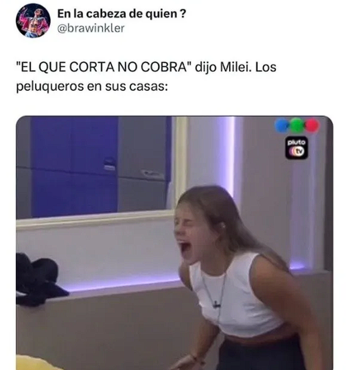 Los memes estallaron por la asunción de Javier Milei