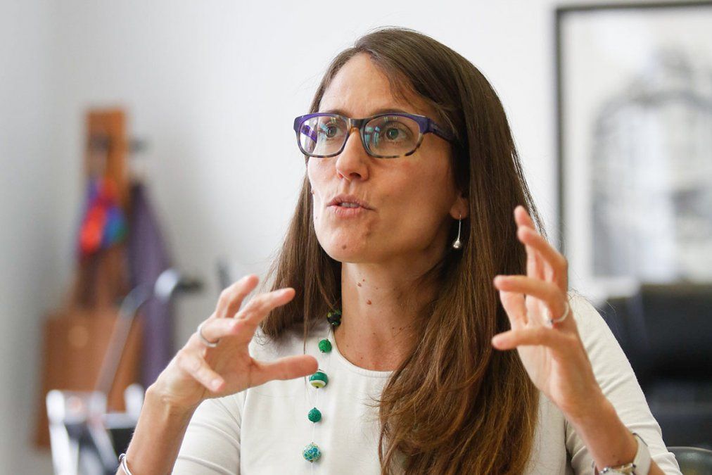 Renuncia de Elizabeth Gómez Alcorta: un ministerio en la mira