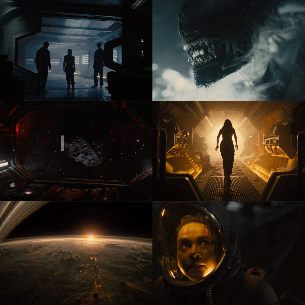 Descubrí por qué Alien: Romulus es la pesadilla del 2024 (te hará ...