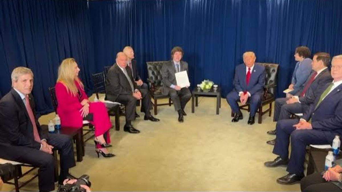 ¿Qué hacer con Karina Milei?: Se disparó su imagen negativa y supera el ...