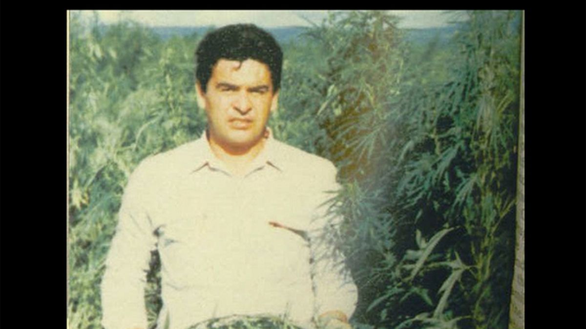 Fox News acusa a la CIA de haber matado al agente de la DEA Camarena