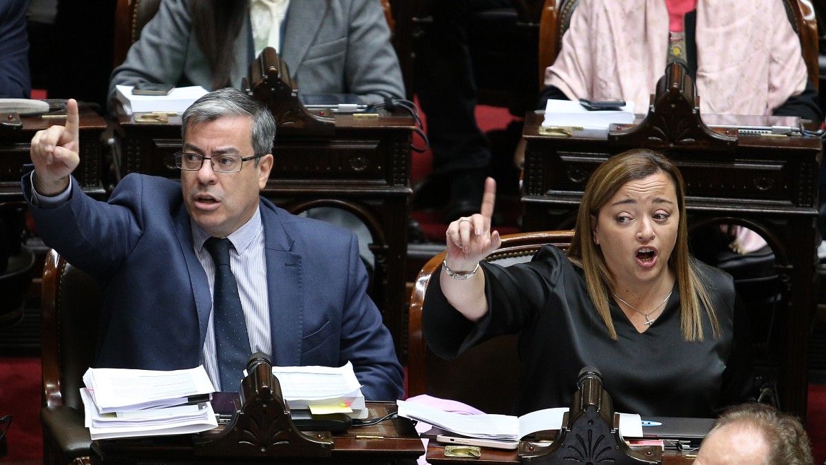 Cecilia Moreau le dijo maricón a Martín Menem y estallaron los trolls