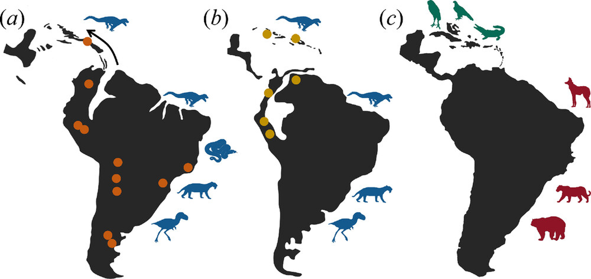 Un cocodrilo prehistórico de 6 metros sacude las teorías sobre los ...