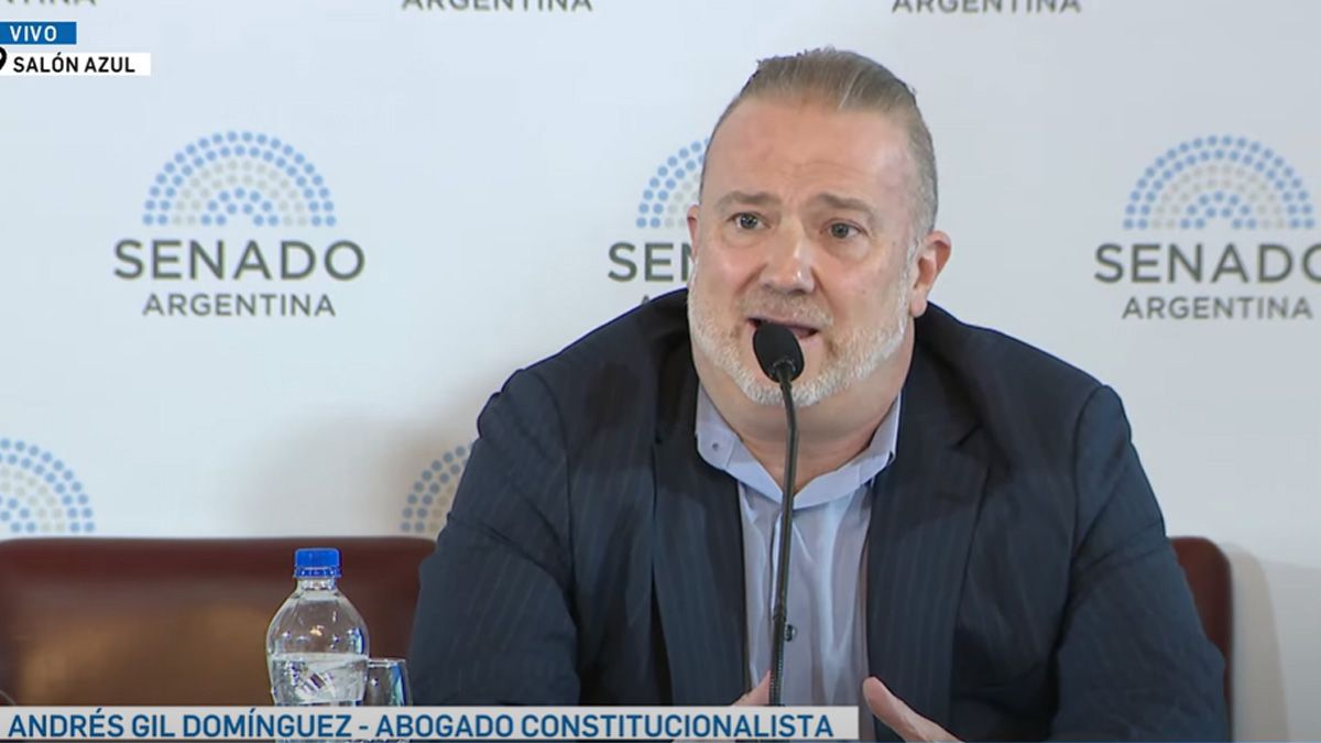 Debate en el Senado: Científicos piden rechazo, Pacto de Mayo a junio o ...