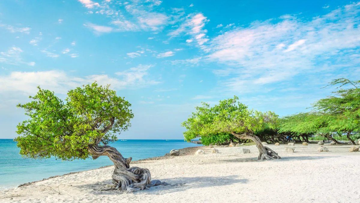 La playa con árboles elegida entre las mejores del mundo