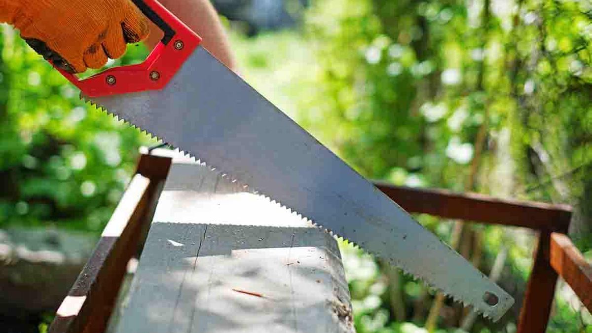 Lucila Crexell y el serrucho a Miguel Ángel Hildmann en Unesco