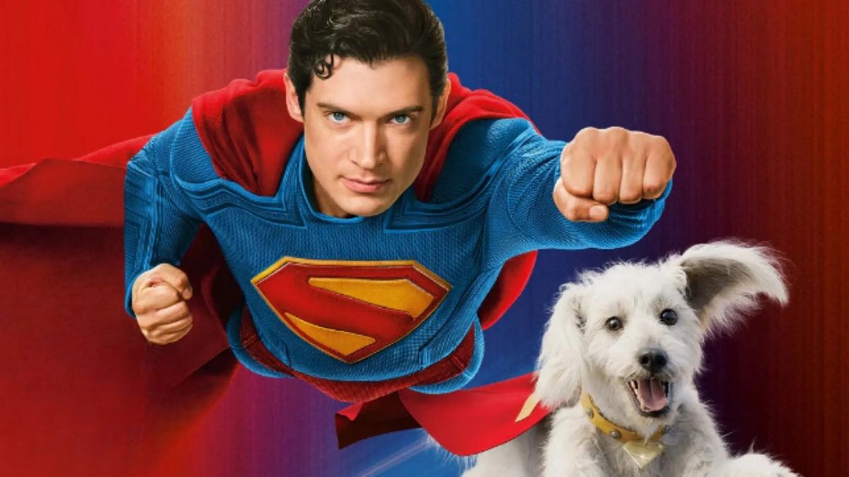 Efecto Krypto: El perro de Superman disparó la adopción de mascotas en ...
