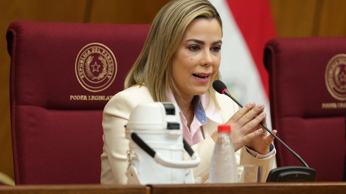 Cartista corrupta: Lizarella Gate y mansión con un patrimonio flaco