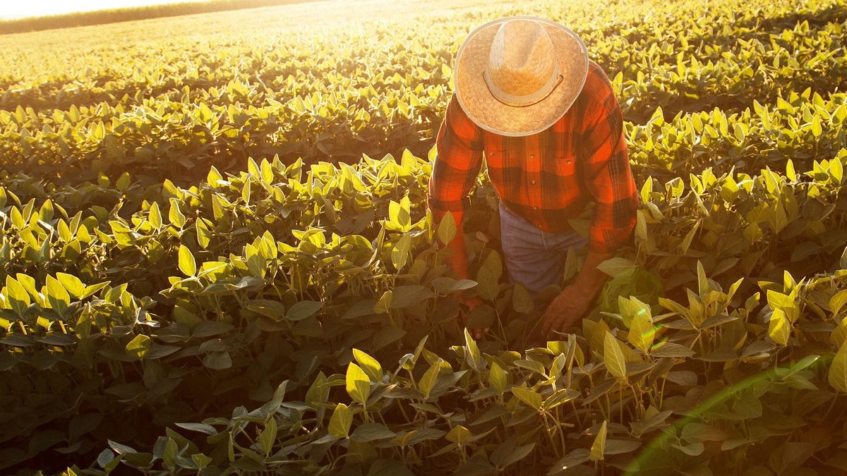 Día del Ruralista: Mitos y realidades del trabajo en el campo